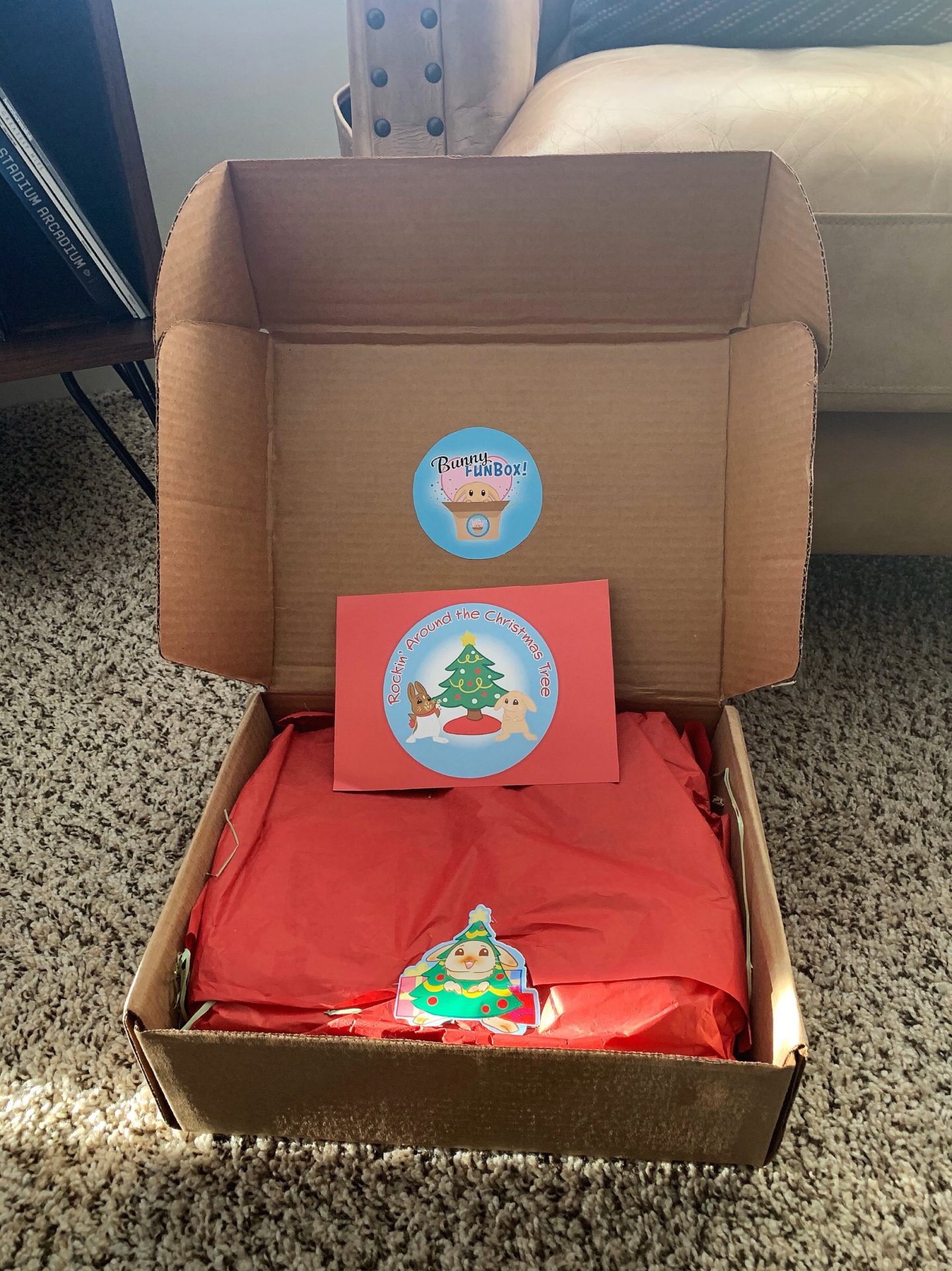 Theodore Unboxing the Bunny FunBox: Holiday Edition - Lex Paige