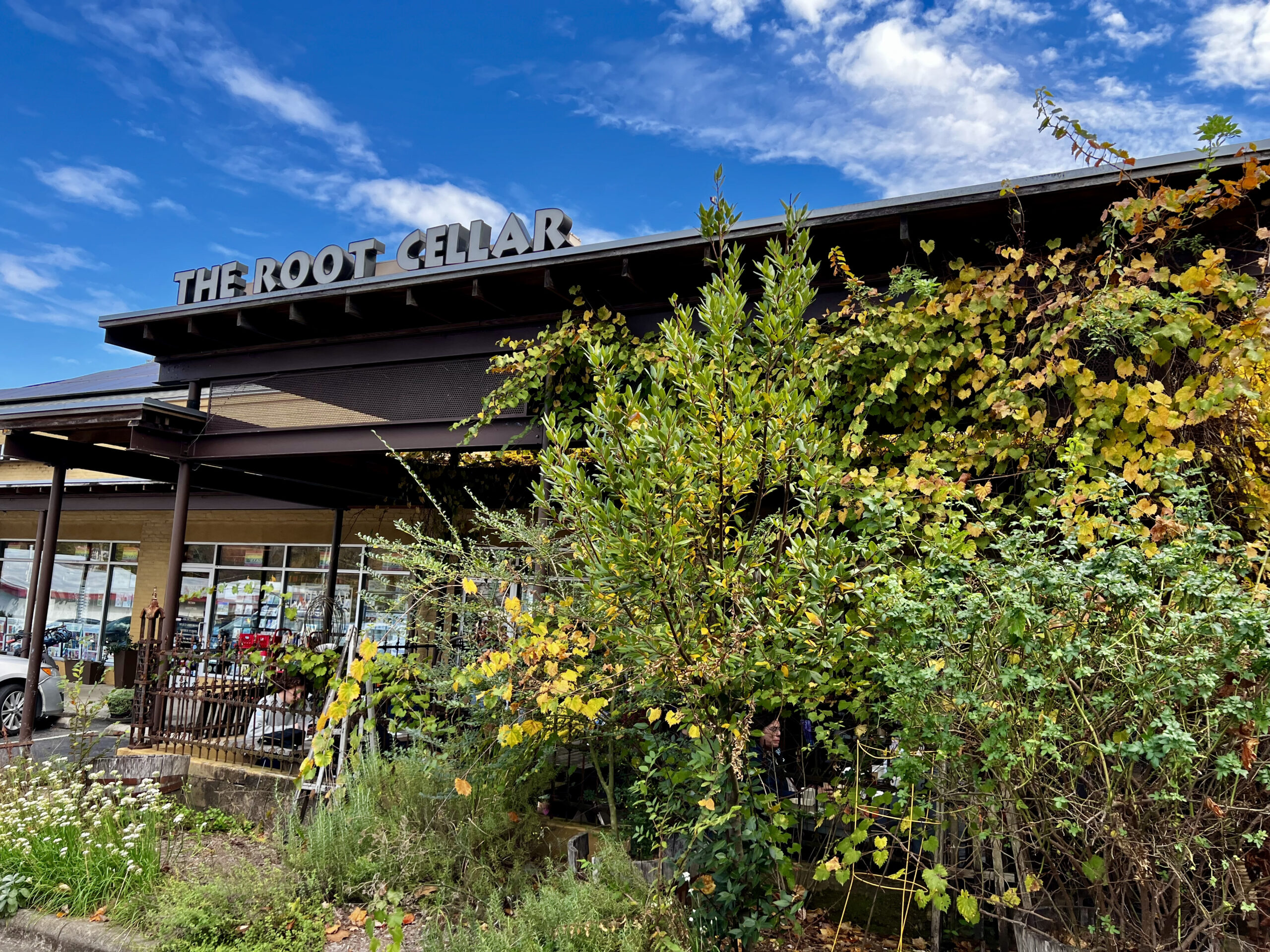 North Carolina Gem: The Root Cellar Cafe & Catering - Lex Paige